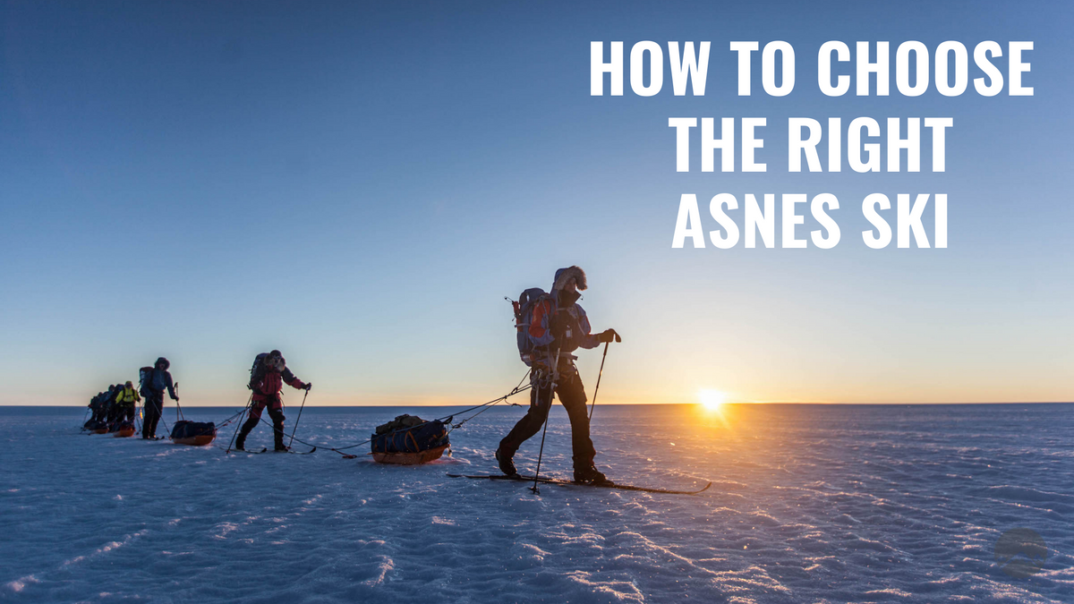 How to Choose the Right Asnes Ski – Neptune Mountaineering